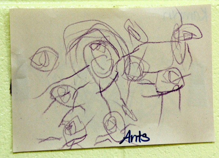 Work Sample Observations In Childcare - Aussie Childcare Network Work Sample Observations In Childcare - Aussie Childcare Network