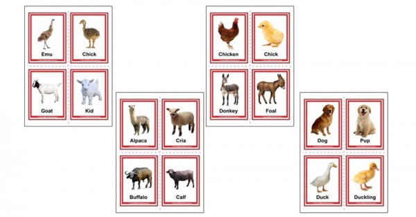 Free Farm Animals Adult and Baby Flashcards To Download - Aussie ...